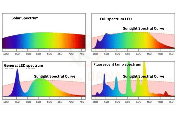 KingOrnan Lighting Academy Series Article 1: Full Spectrum - KingOrnan ...